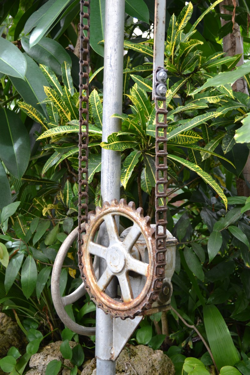 Podcast Guest Appearance: Dear Sugar – Bittersweet Nugget